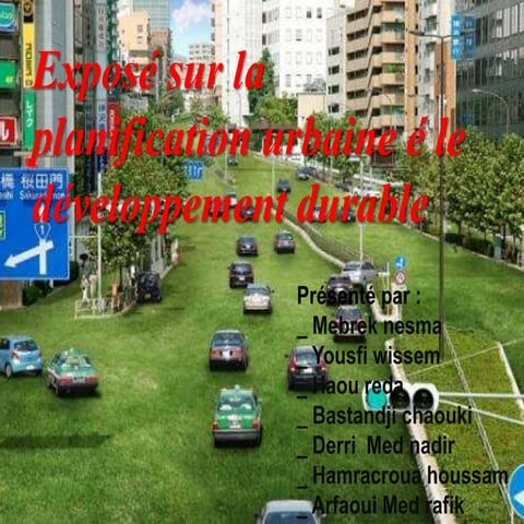 tamesna DB.pptx