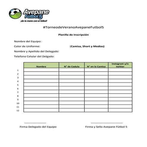 Planilla de inscripcion de plantilla #cuartacopaavepanefutbol5 | PDF