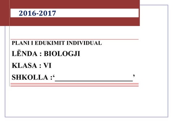 Modeli i një planifikimi ditor | DOCX