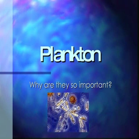 Plankton | PPT