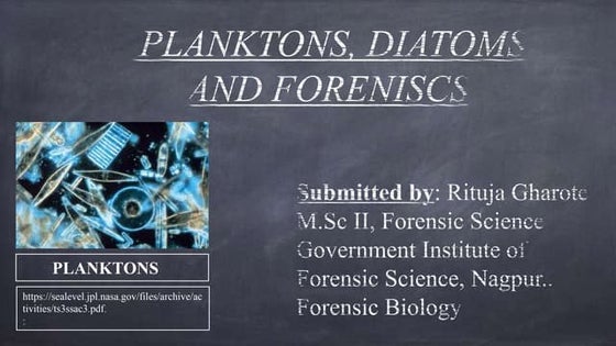 full study of zooplankton and phytoplankton.pptx | Geography | Science