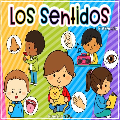PLAN LOS 5 SENTIDOS gusto, tacto, olfato, vista, oido.pdf