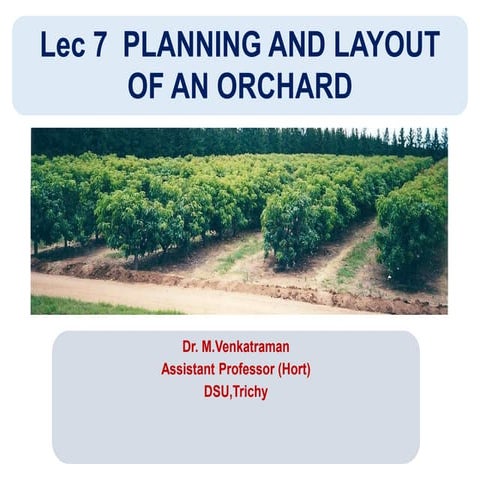 Planning And Layout Of An Orchard Pptx
