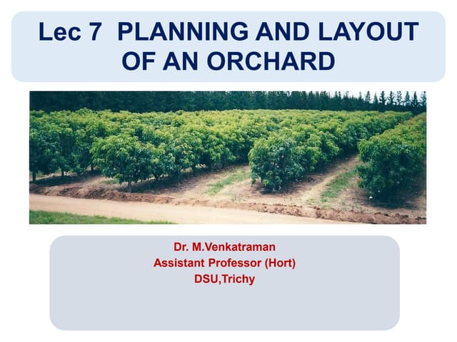 PLANTING SYSTEM OF LAYOUT ORCHARD pptx | PPTX