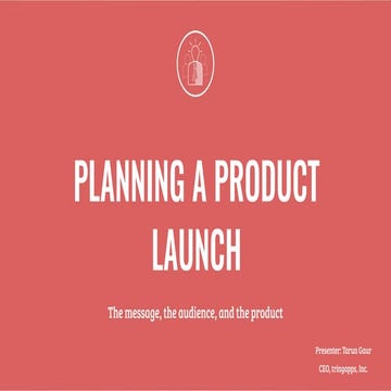 Planning a Product Launch | PDF