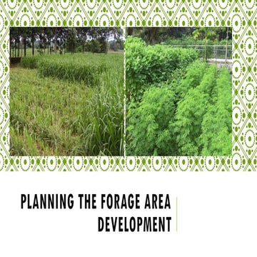 16. forage-crop-original-1.pptx......... | PPTX