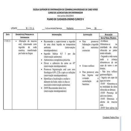 Plano de cuidados | PPT