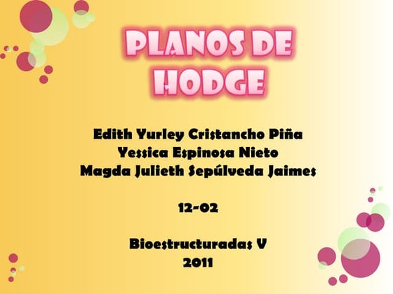 Anatomía de la pelvis femenina (Obstetricia) | PPT