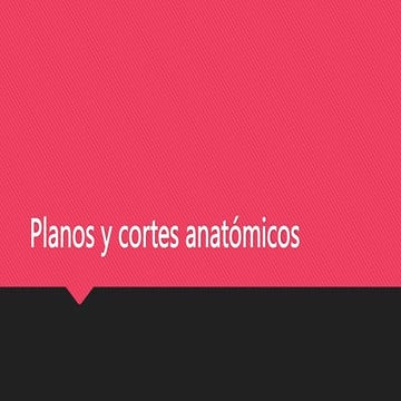 Planos y cortes anatomicos.pptx