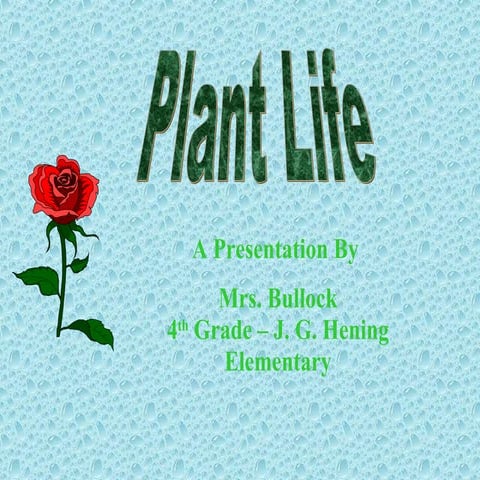 Plant | PPT