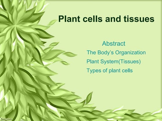 Plant Tissues for Grade 10 Life Sciences | PPTX | Skin and Dermatology ...