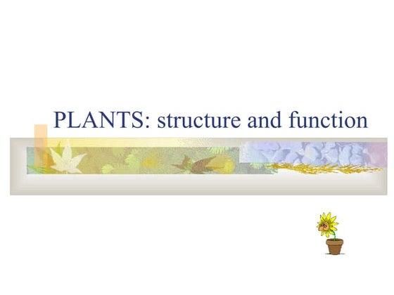Plants 3rd grade | PPT