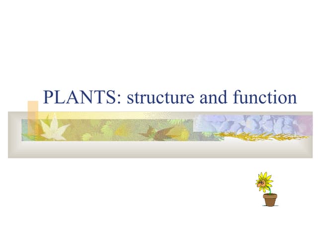Parts of the plant and their functions | PPT