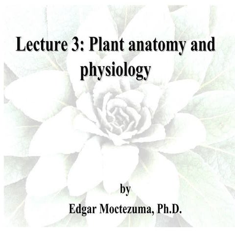 Plant | PPT