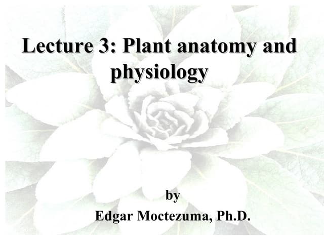 Powerpoint plant parts for science gr 5 | PPT