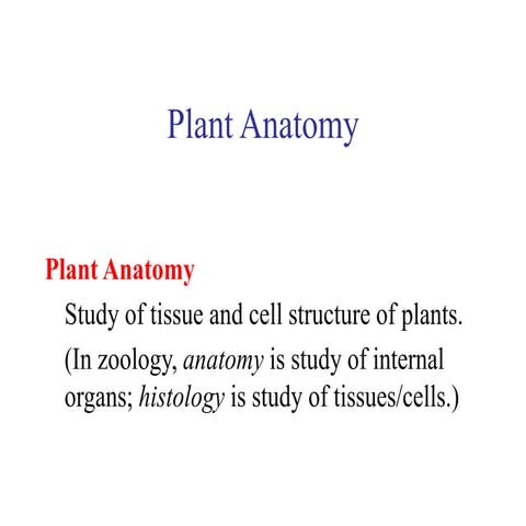 Plant-Anatomy.ppt | Gardening | Home & Garden