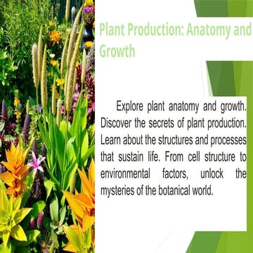 Plant-Anatomy. How plant grow and it's processed.pptx