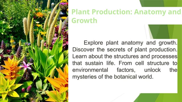 Powerpoint plant parts for science gr 5 | PPT