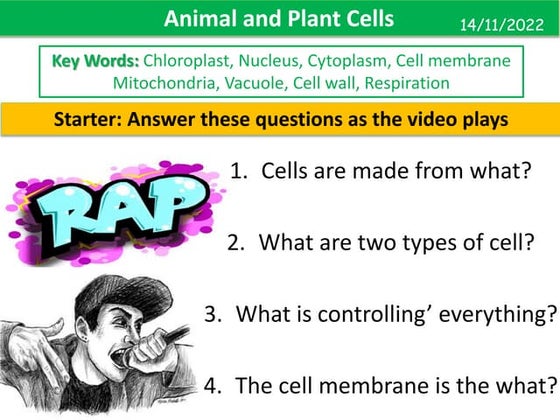 Cell project example | PPT