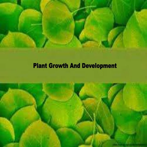 Plant-growth-and-development in general biology | PPTX