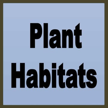 Plant Kingdom Kindergarten Lesson Plant and Habitats | PPTX