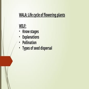 Plant-Life-cycle-pollination-wind-dispersal...pptx