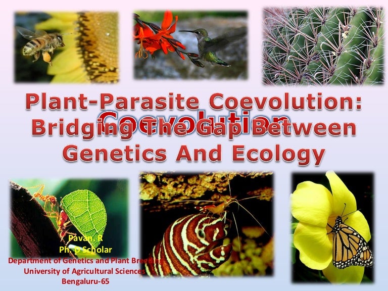 Plant parasite coevolution