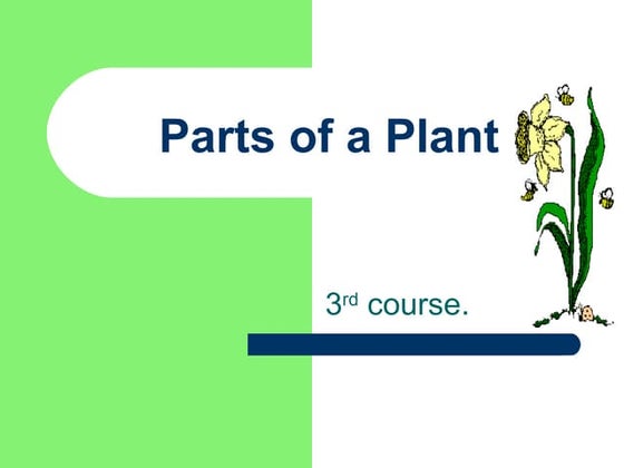 Science 3 parts and function of the plants | DOCX