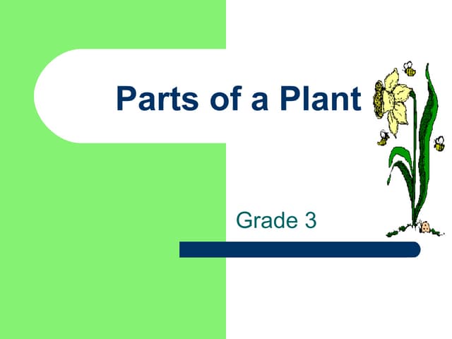 Plants 3rd grade | PPTX
