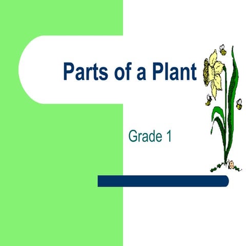 Plant parts | PPT