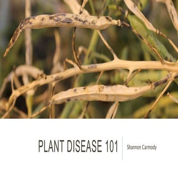 Plant-Pathology-101-Powerpoint-Part1.pptx