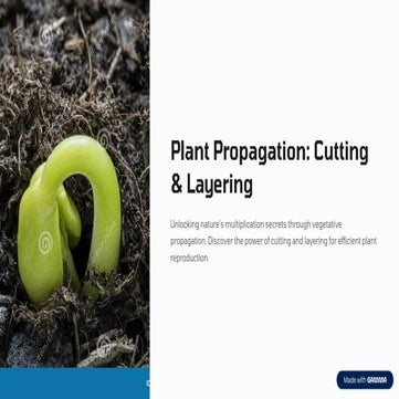 Plant-Propagation-Cutting-and-Layering.pdf