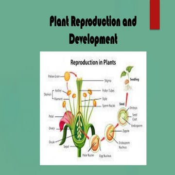 PLANT-REPRODUCTION (2).pdf for general b | PDF
