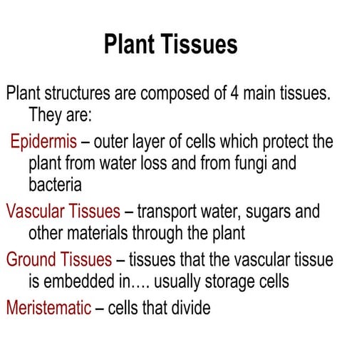 plant-tissue tissue can be defined as a group of cells with similar ...