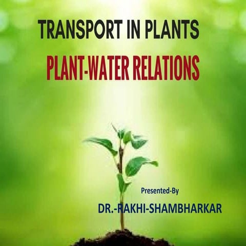 Presentation on Plant-Water-Relation.pptx