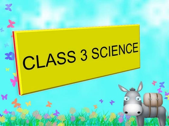 Plants adaptations presentation for kids | PPT