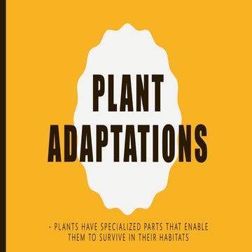 Plant adaptations | PPT