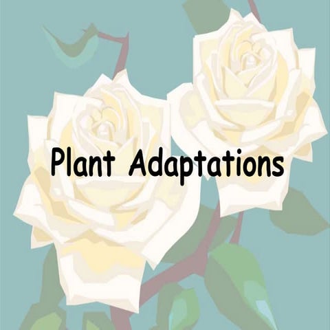 Plant adaptations | PPT