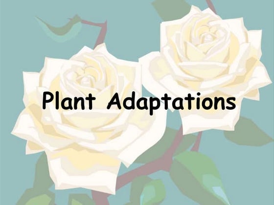 Plant Adaptations 2 | PPT