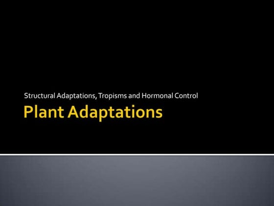 Class IV Science -Plants Adaptation | PPT