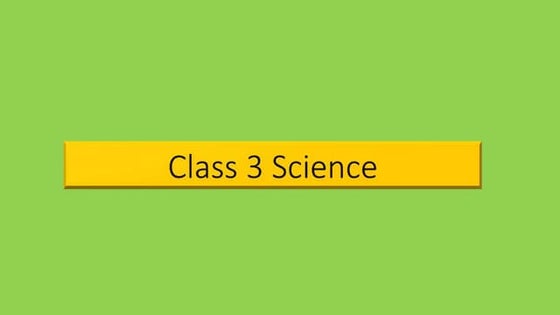 Class IV Science -Plants Adaptation | PPT