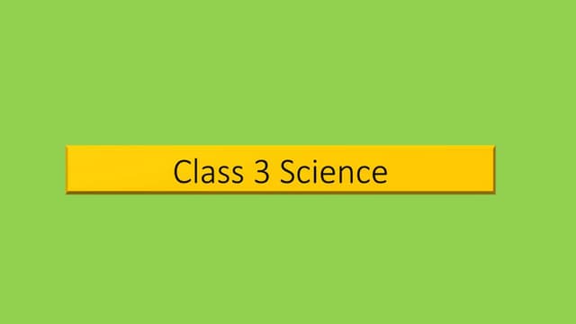 How plants survive CLASS IV | PPT