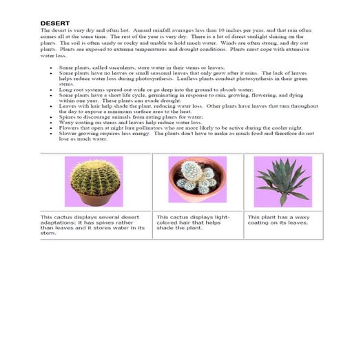 Plant adaptations readings | PDF