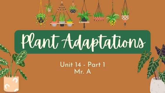 Plants adaptations presentation for kids | PPT