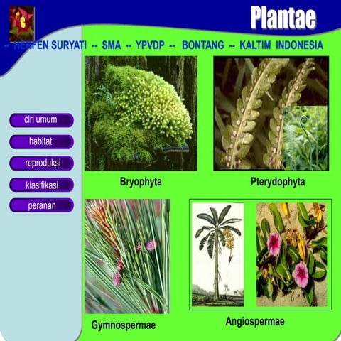 bahan ajar biologi sma kelas x tentang plantae | PPT