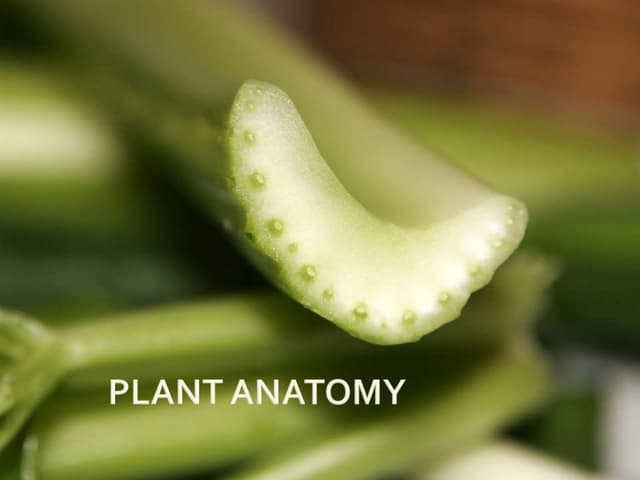 BIO scientist-discoveries-NEET.pdf