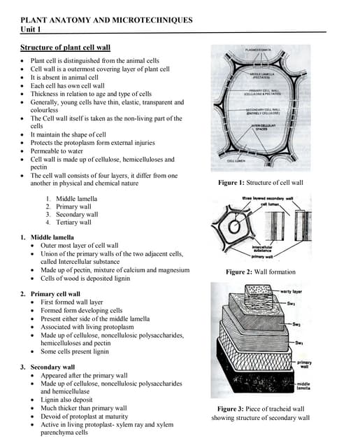 Lesson 4 Cell Modifications | PPT