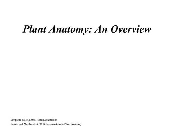 6. anatomy of flowering plants | PPT