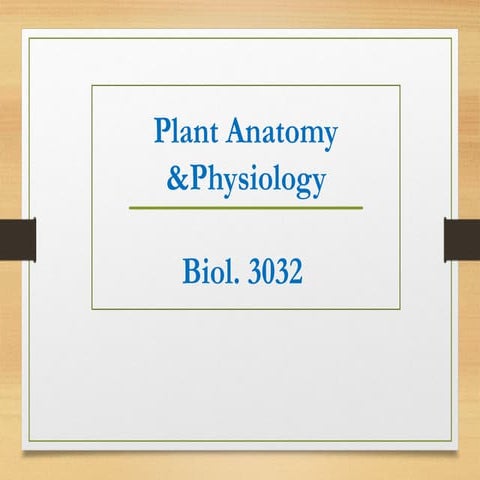 Plant anatomy presentation | PPT