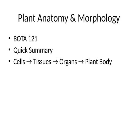 Plant_Anatomy_Morphology_Summary_Lecture for studying.pptx